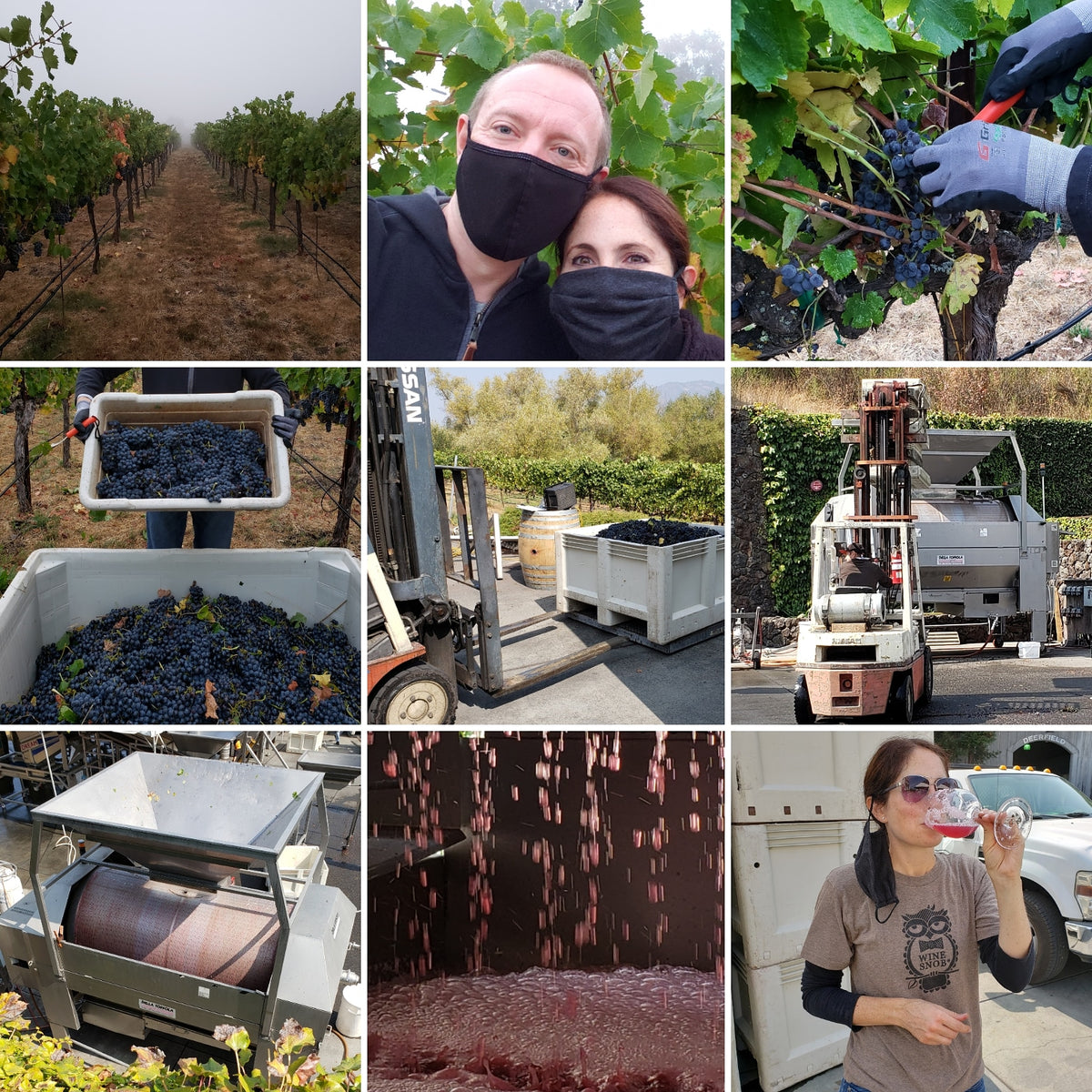 Wine Snob* 2020 Rosé